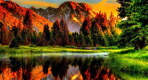 1200 4k Nature Wallpapers