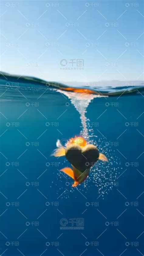 520ai数字艺术 520爱的吸铁石 Ai视频免费下载mp4格式2160像素编号72516506 千图网