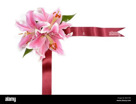 Floral Corner Border Made From Pink Lilies And Burgundy Red Satin