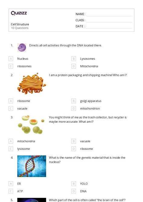 50 Structure Of A Cell Worksheets On Quizizz Free And Printable