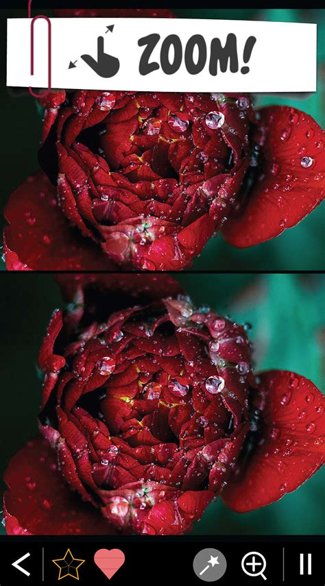 Find The Difference 1000 Apk For Android Download