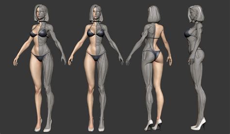 Artstation 练习011 Blender Character Modeling Female Anatomy