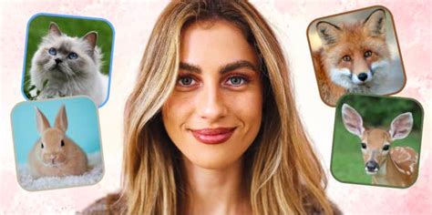 What Does It Mean To Be Cat Pretty Fox Pretty Deer Pretty Or Bunny