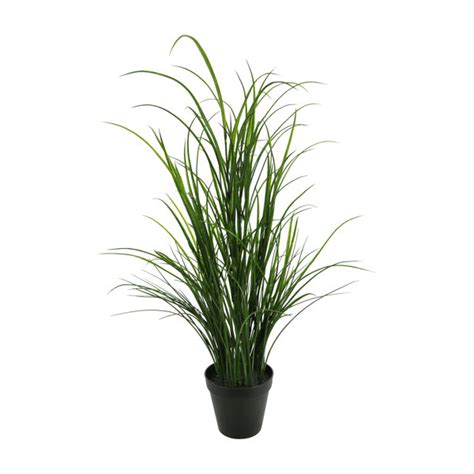 Creative Displays Inc Outdoor Uv Rated Tall Grass Drop In And Reviews Perigold