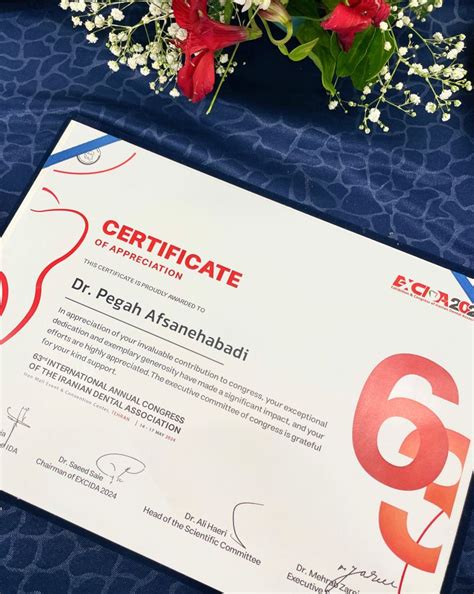 Pegah Afsaneh Abadi On Linkedin I Am Thrilled To Have Been Part Of The Prestigious 63rd