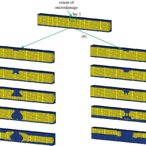 Trabecular Perforation In Longitudinal Cross Section With Osteoporotic Download Scientific