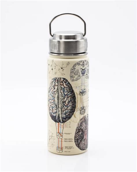 Flasks Of Science Travel Mugs Neuroscience Ts Flask Neuroscience