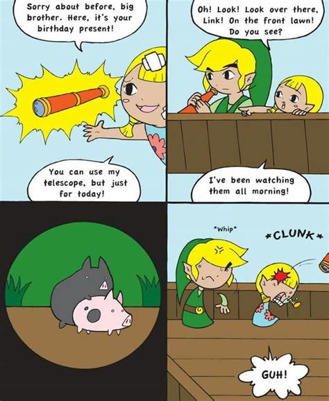 Wind Waker Zelda Legend Of Zelda Wind Waker Video Games Funny