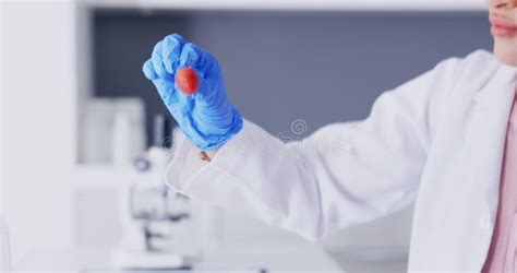 Biologist Woman Science Research And Fruit In A Laboratory For