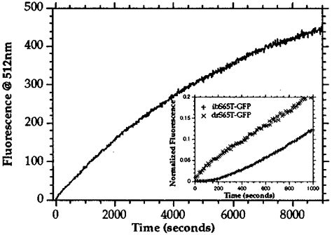 Fluorescence Time Course Of The Renaturation Of Drs65t Gfp Mature Download Scientific Diagram