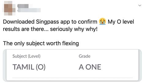 Singpass App Now Has N O And A Level Results Prove You Got A1 When