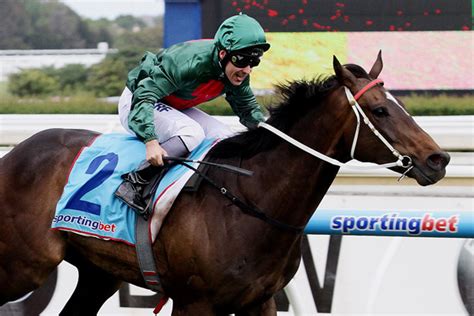 Williams On Sertorius In Memsie Racing And Sports