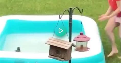 Slippery Squirrelly Situation Album On Imgur