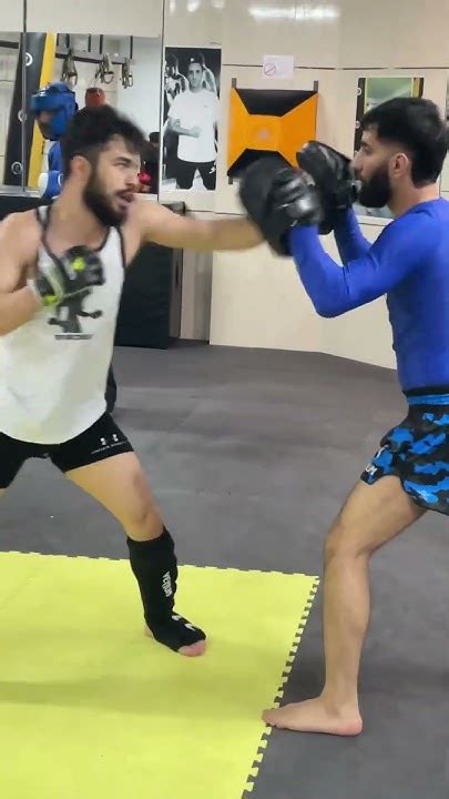 Mma Boxing Motivation Muaythai Sports Ufc Pooriya Nasiri پوریا نصیری Youtube