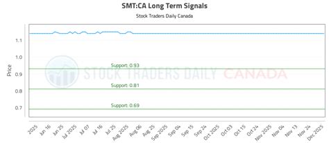 Smt Investment Analysis