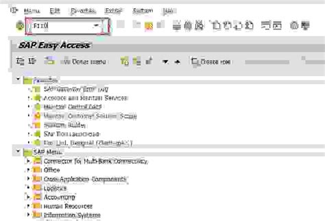 Automatic Payment Program F110 In Sap