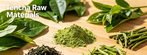 Pure Matcha Powder Factory Tencha Green Tea Manufacturer From China