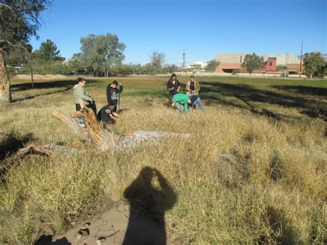 All School Buffelgrass Removal Day Sky Islands