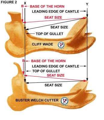 Measurements Of A Western Saddle Tree Wildrace Western New Western
