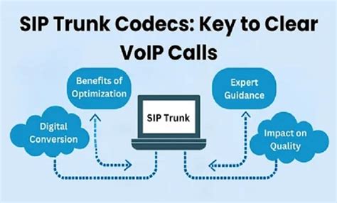 Auto Dialer Sip Trunk Caller Id Sip Routes 3cx Spoof Api Did Number By Willjoohn Fiverr