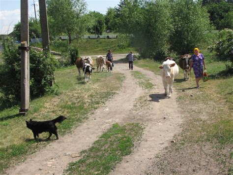 Obodovka Podolia Ukraine Podolia