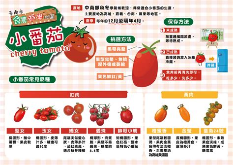 臺灣常見8種小番茄你都吃過嗎？另分享「冰釀梅漬小番茄」製作方法！ Roomie