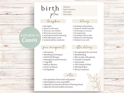 Birth Plan Template Editable Birth Preferences On Canva Printable