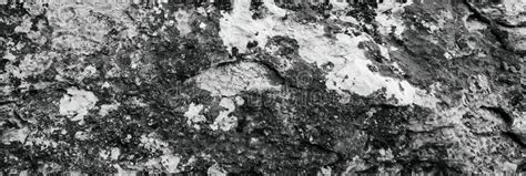Abstract Stone Texture Black And White Pattern Organic Texturized