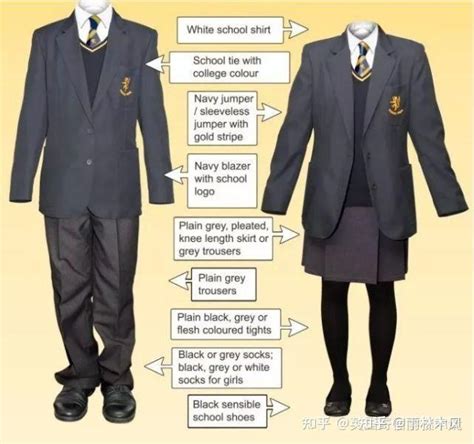 哈利波特学生在入学霍格沃兹前在怎么上学 知乎