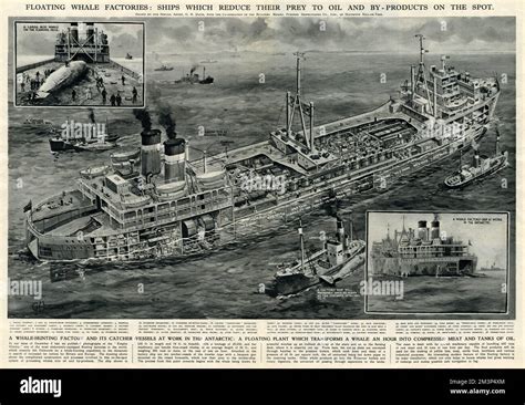 Whale Oil Advertisements