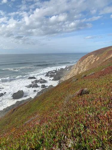 10 Best Trails And Hikes In Bodega Bay Alltrails