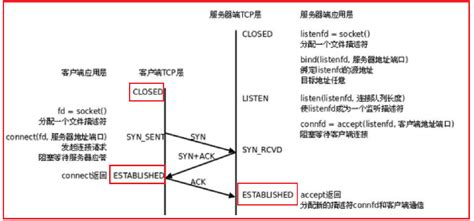 【面试八股】超超超详解tcp协议！ tcp协议面试 csdn博客
