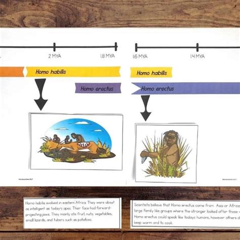 Human History Timeline And Fundamental Needs The Montessori Third