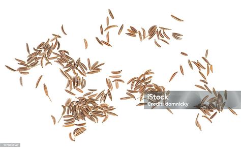 Tampilan Atas Biji Jintan Atau Jintan Yang Diisolasi Dengan Latar Belakang Putih Foto Stok