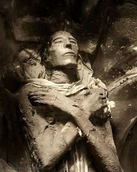 The Remarkable Preservation Of King Seti Is 3 300 Year Old Mummy