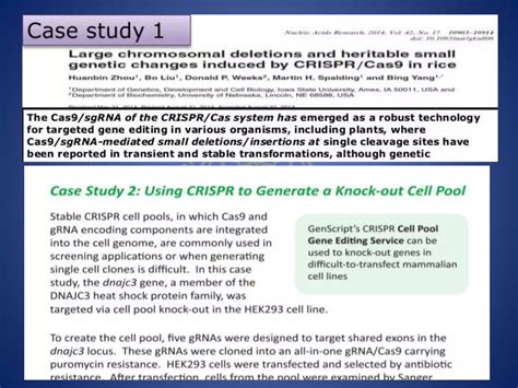 Crisprcas9 The Gene Editing Tool Pptx