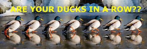 Ducks In A Row How We Learned To Do It All Stop The Thyroid Madness