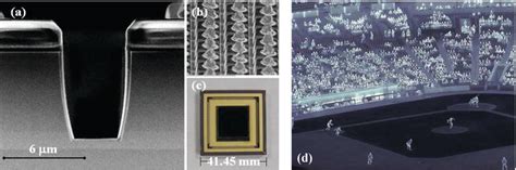 Design And Development Of Two Dimensional Strained Layer Superlattice Sls Detector Arrays For