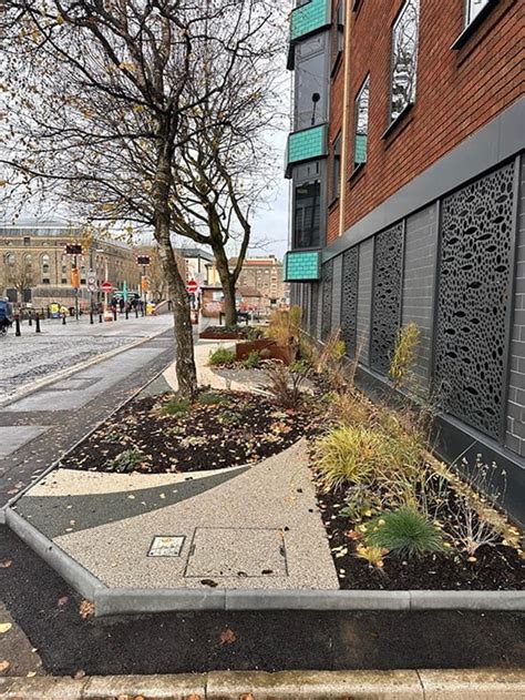 Arboricultural Consultancy Services Uk Treework Environmental Practice