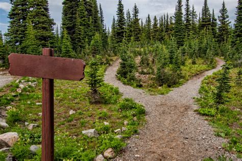 The “chosen” Path Fallacy 2 Pieces To Peace