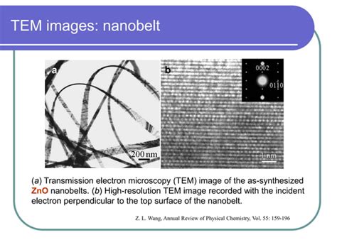 Lecture 3 Conventional Microscope Pdf Geology Science