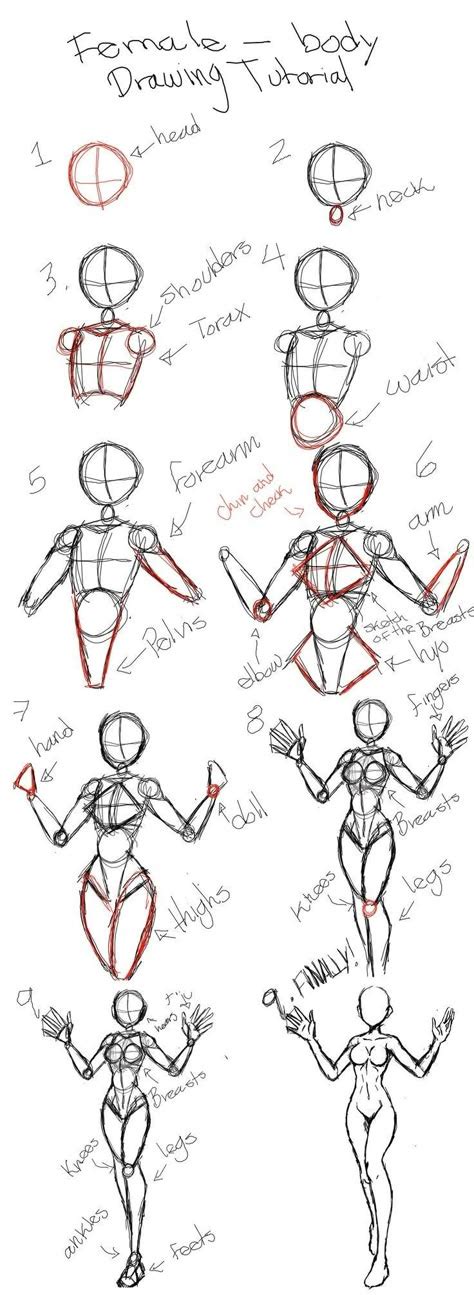 Bocetos De Cuerpos Humanos