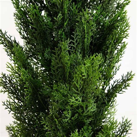 6 Mini Cedar Pine Tree Indooroutdoor Nearly Natural