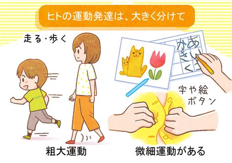 幼児期 知識の書庫