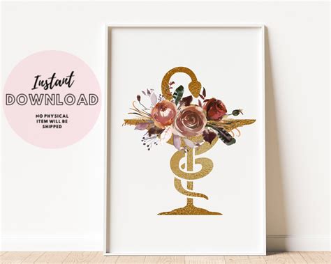 Pharmacy Tech Wall Art Decor Set Of 3 Print Bowl Of Hygeia Pharmacist