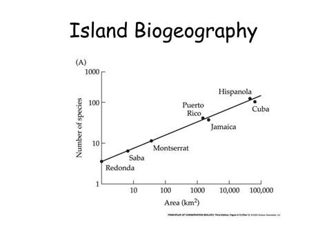 Describe Island Biogeography At Evelyn Turner Blog