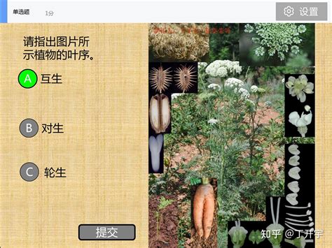 学习植物分类学入门（一）—观察植物形态，掌握形态术语 知乎