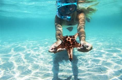 5 Reasons To Visit Nimitz Beach My Hawaiian Adventure