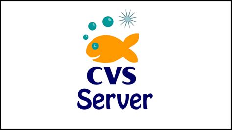 Top 8 Database Version Control Tools Lightrun