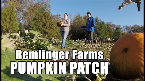 U Pick Pumpkin Patch At Remlinger Farms Youtube